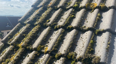 Dak reinigen - Renoclean Services